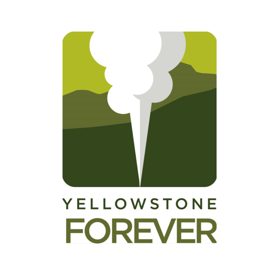 Yellowstone Forever