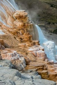 The Art of Yellowstone Science - Yellowstone Forever