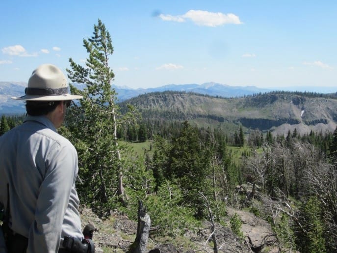 Safeguarding Yellowstone's Wilderness - Yellowstone Forever