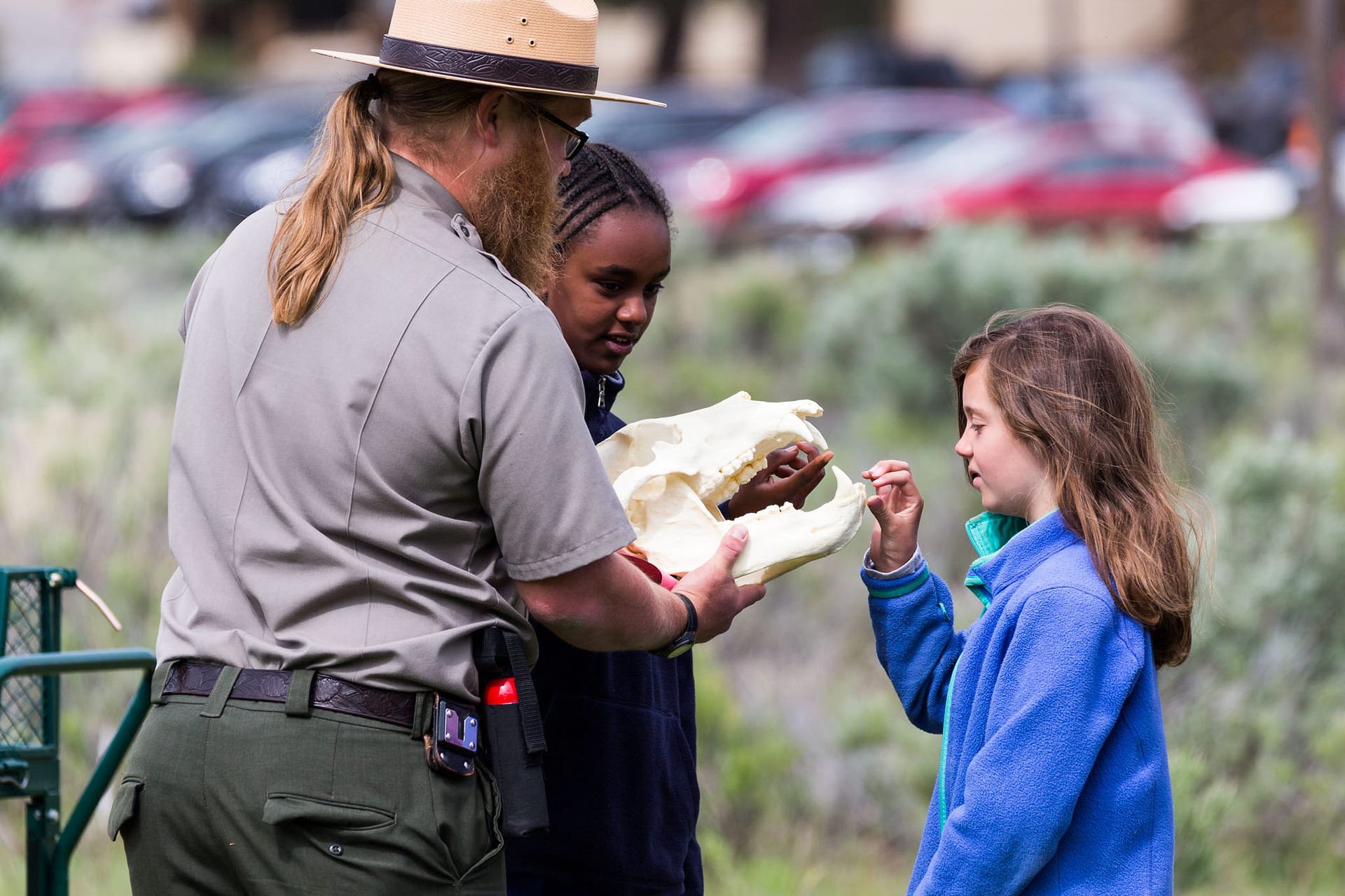 Celebrating 20 Years of Yellowstone Education