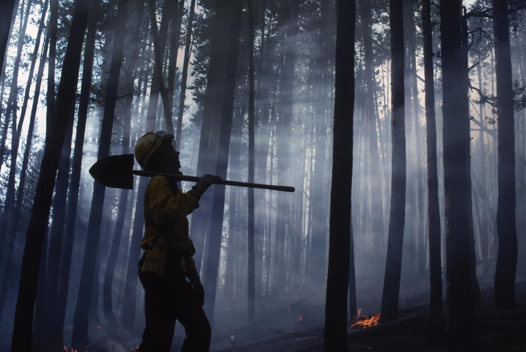 The ’88 Fires: 30 Years Later - Yellowstone Forever