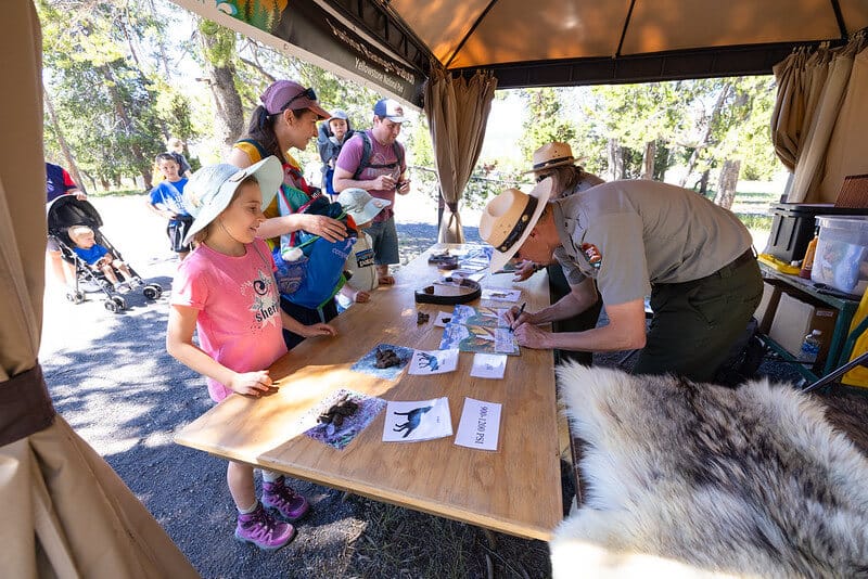Junior Ranger Program - Yellowstone Forever