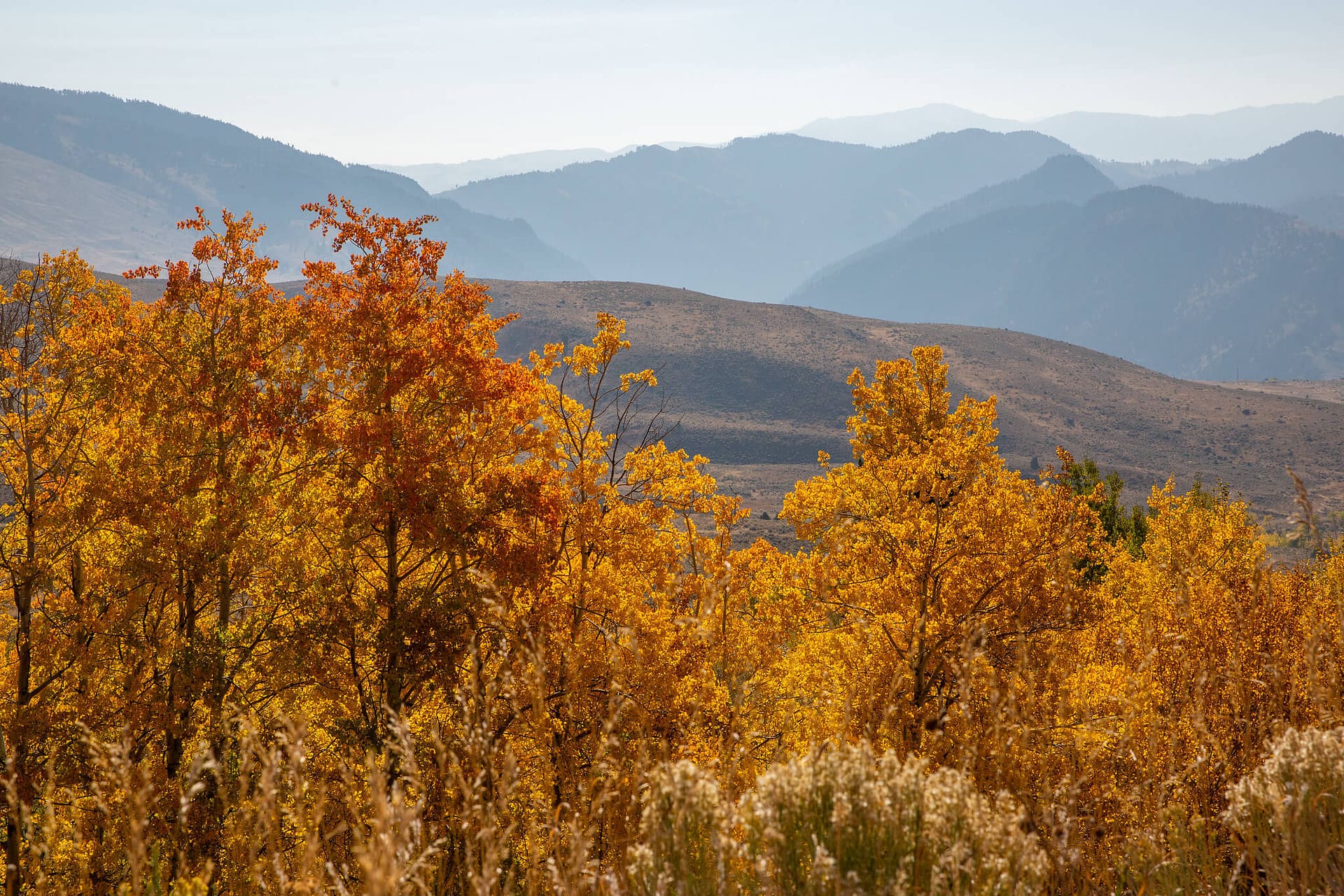 Photographing Yellowstone Fallscapes - Yellowstone Forever